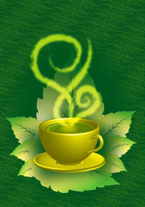 Taza de té verde ilustración del vector Ilustración de comida 20422369
