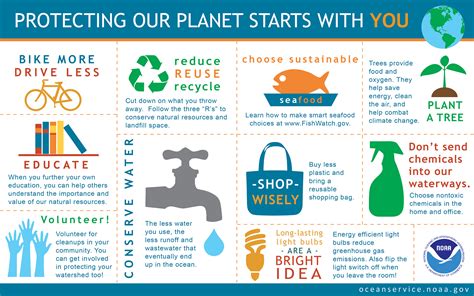 How Can We Save Our Environment To Save The Earth Killerinsideme