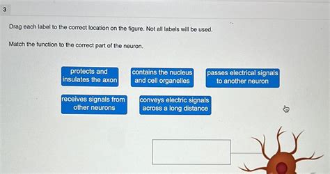[answered] 3 drag each label to the correct location on the fig biology