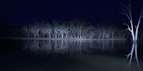 Lake Mungo Is Still The Best Mockumentary Horror Movie
