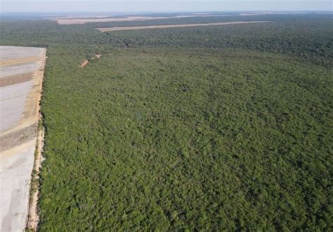Fazendas à venda na Zona Rural em Tabaporã Chaves na Mão