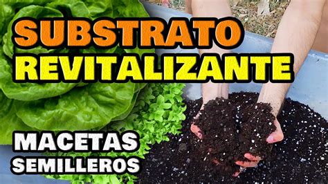 El Mejor SUSTRATO CASERO Para SEMILLERO Y Macetas Sustrato Para