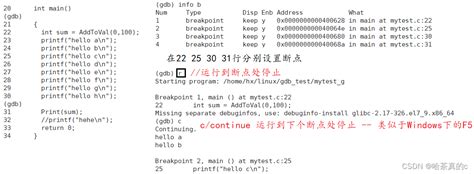 【linux】5 开发工具的使用 gcc gdb makefile 常用开发工具 gcc gdb make csdn博客
