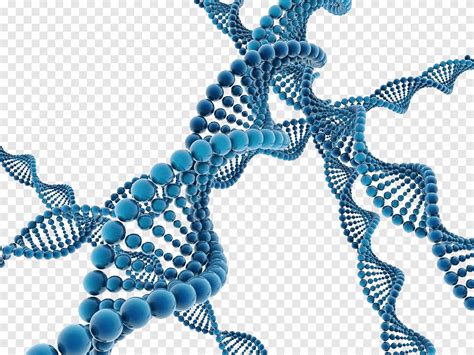Ilustración de ADN s libre de genes plantilla de diseño de logo