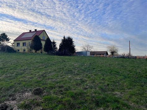 Działka budowlana z mediami WIDOKOWA Dobczyce OLX pl