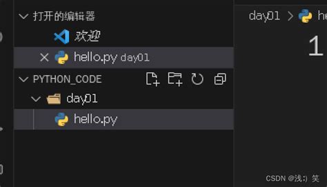 python——vscode安装 vscode python安装 csdn博客