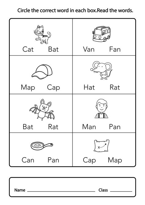 Circle The Correct Word In Each Box Read The Words Color The Picture