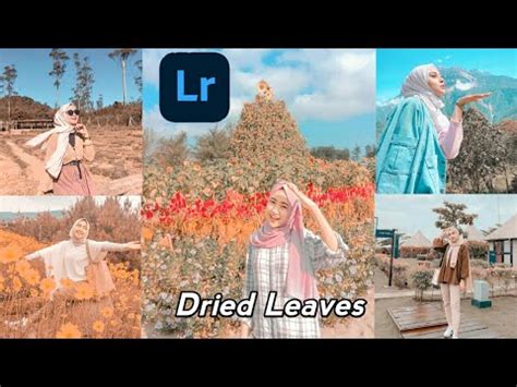 Lightroom Mobile Tutorial Edit Poto Ala Selegram Dried Leaves YouTube