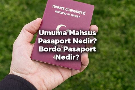 Umuma Mahsus Pasaport Nedir Bordo Pasaport Nedir Kamp Yerleri