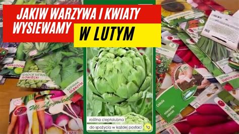 Jakie warzywa wysiewamy w lutym Co możemy wysiewać na rozsady Jakie