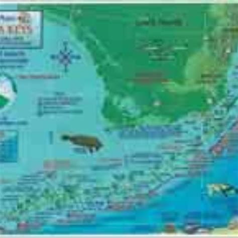 Stream Get Ebook Florida Keys Dive Map Reef Creatures Guide