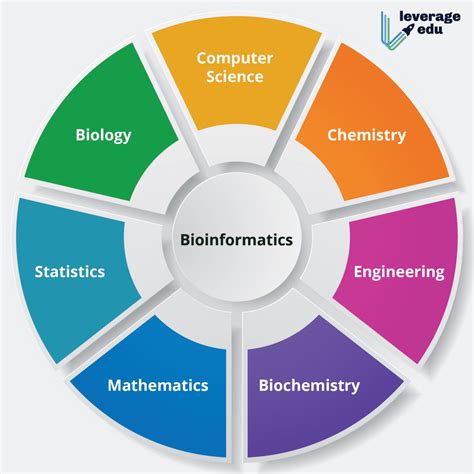 bioinformatics leverage edu