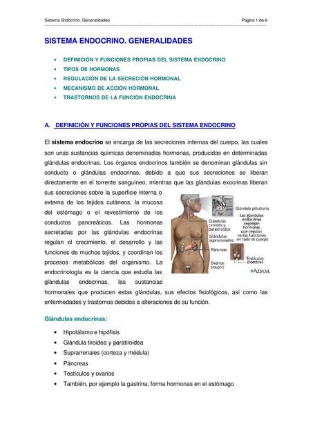 GENERALIDADES DEL SISTEMA ENDOCRINO Aura Ester Peréz Rada uDocz