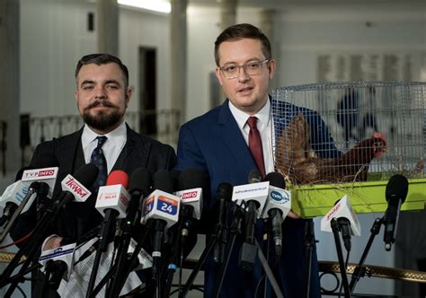 To Jest Kura Henia Takiego Wydarzenia W Sejmie Jeszcze Nie
