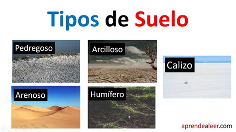 Cuántos tipos de suelos Apolonio es
