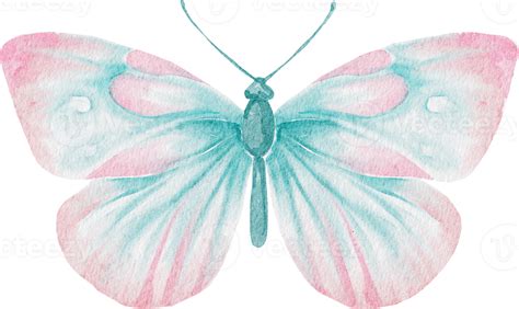 Aquarela Borboleta Rosa 16532610 PNG