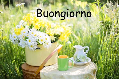 Buongiorno Estivo Immagini Con Caff E Paesaggi Estivi