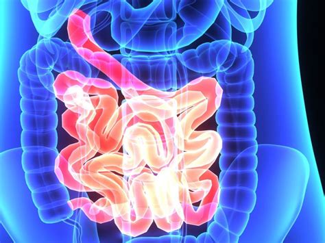 Chewing Gum Improves Colonoscopy Preparation