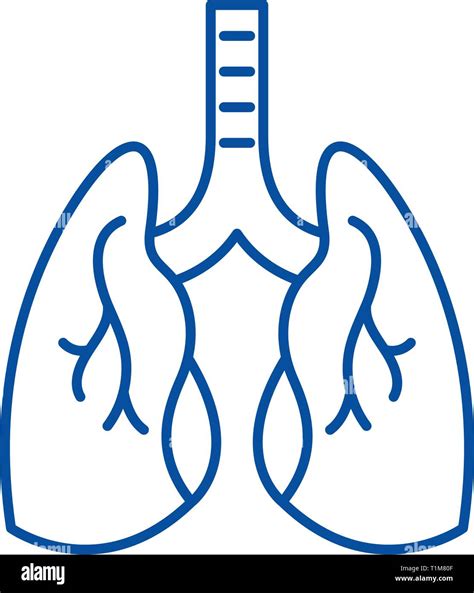 Icono de línea pulmones concepto Los pulmones vector plana símbolo