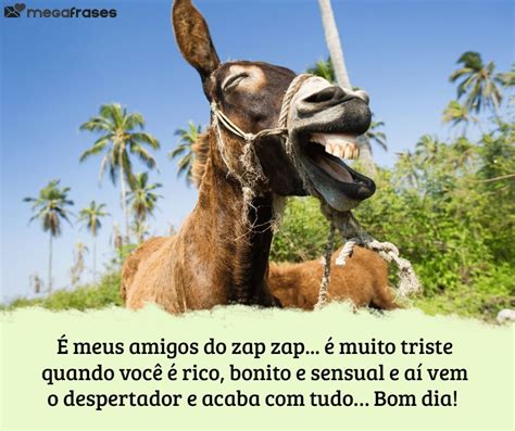 Mensagens Engraçadas de Bom Dia para Whatsapp Acorde e Sorria