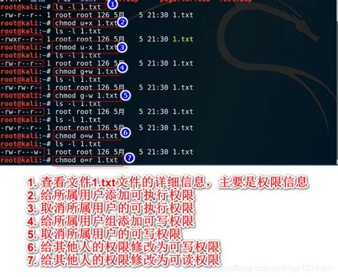 kali与shell编程 文件权限修改【一】 kali修改文件权限 csdn博客