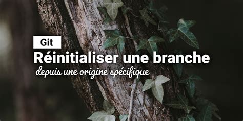 Réinitialiser une branche depuis une origine avec Git Blog Code Garage