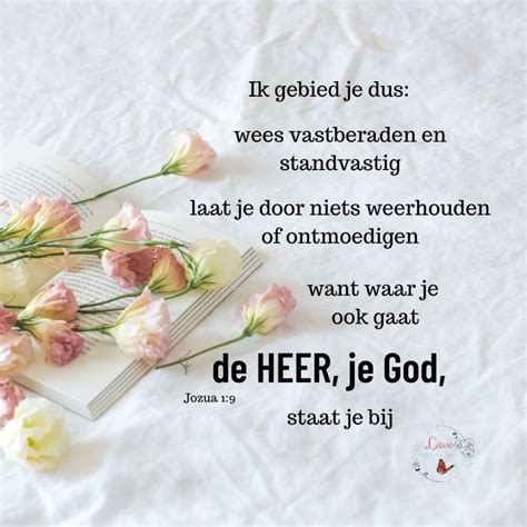Latijnse Spreuken En Citaten Met Nederlandse Vertaling Artofit