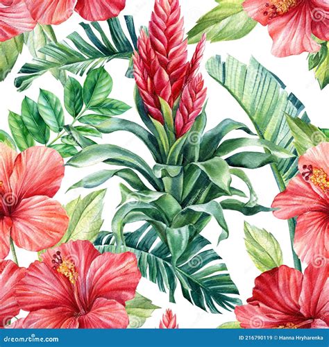 Tropical Palm Leaves Hibiscus Flowers On An Isolated Background