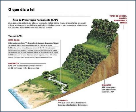 Áreas de Preservação Adenilson Giovanini