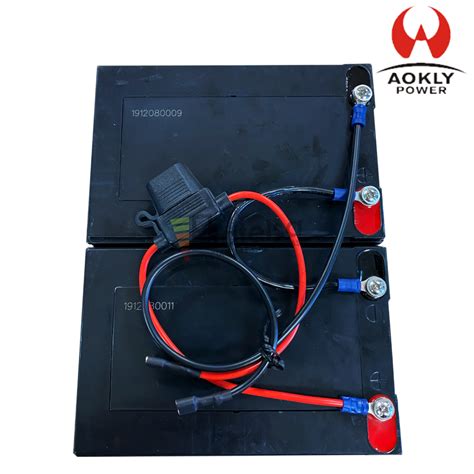 Kit baterías Movilidad 24 Voltios 14 Amperios 6DZM14 C Cables Batelsa