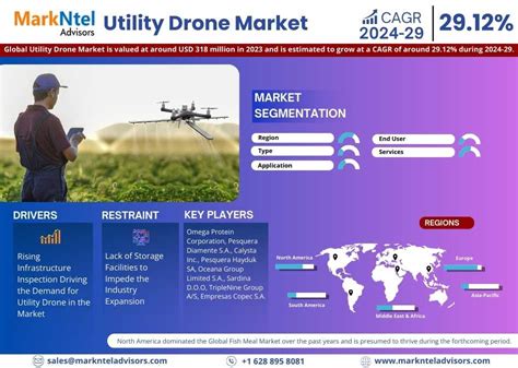 Infographics Utility Drone Market Size Share Growth Trends Latest