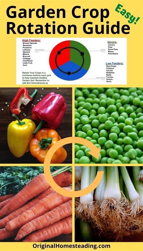Vegetable Garden Crop Rotation An Easy Garden Guide Vegetables