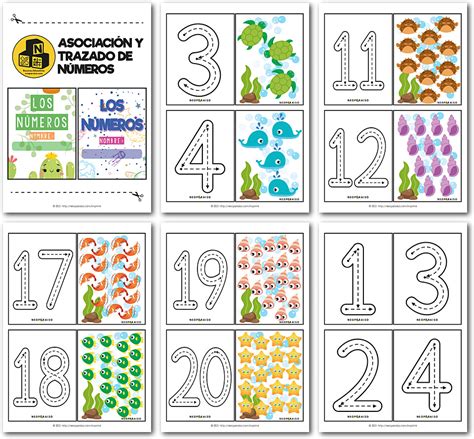 Tarjetas de Números trazo y conteo