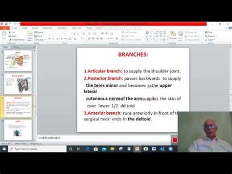 Upper Limp Axillary Nerve Youtube