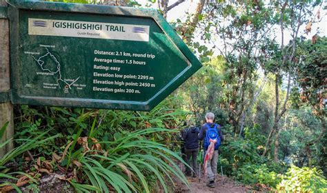 Walking Trails In Nyungwe Forest National Park Visit Rwanda