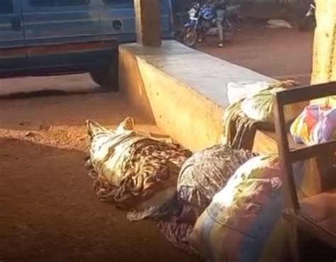 Labé la découverte macabre d un corps sans vie d une femme à la gare