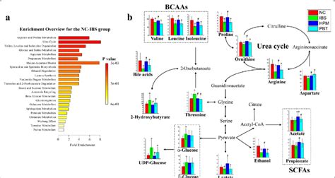 A Pathway Enrichment Analysis For The NC And IBS Group B Summaries Of