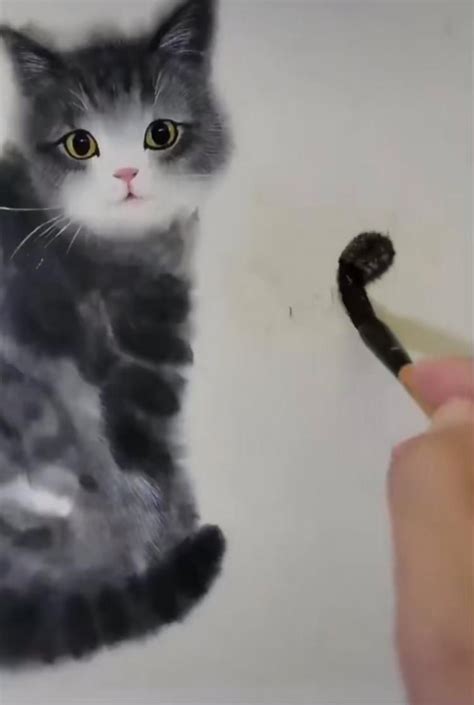 How To Draw Tabby Fur In Coloured Pencil Available On Youtube Artofit