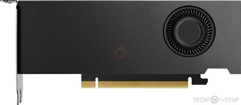 NVIDIA RTX 4000 SFF Ada Generation Specs TechPowerUp GPU Database