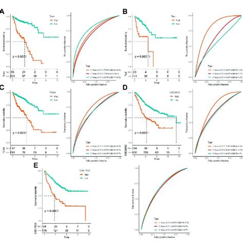 Construction Of A Clinical Prognostic Risk Model For Coad A Training