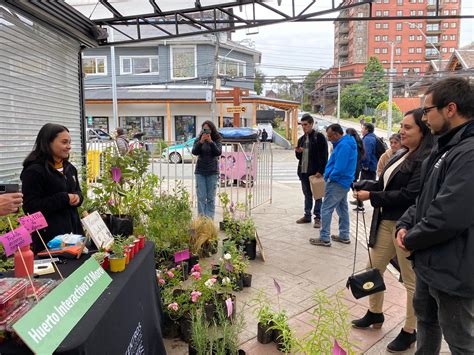 Productores Locales Participan En Expo Emprende Verano Diario Puerto