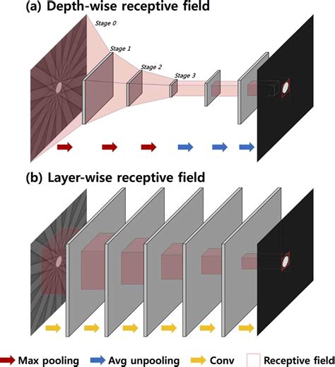 effective receptive field comparison download scientific diagram