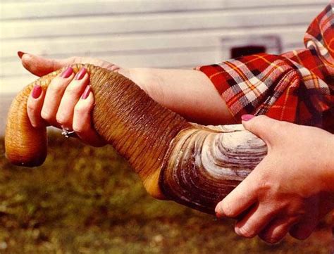 14 Of The World S Most Disgusting And Challenging Foods Delishably