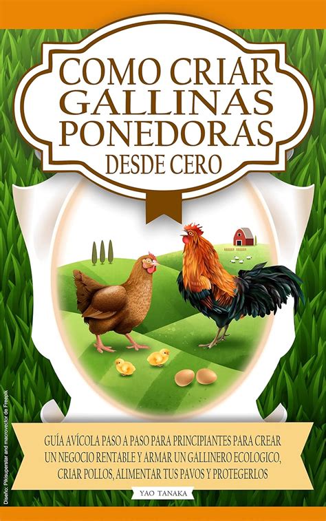 Como Criar Gallinas Ponedoras Desde Cero Guía avícola paso a paso para
