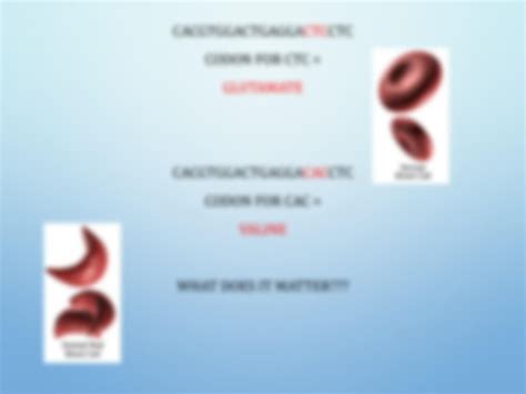 Solution Mutations And Its Types Presentation For Microbiology