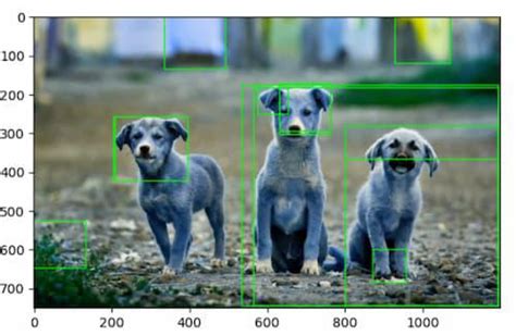 Opencv Selective Search For Object Detection Pyimagesearch