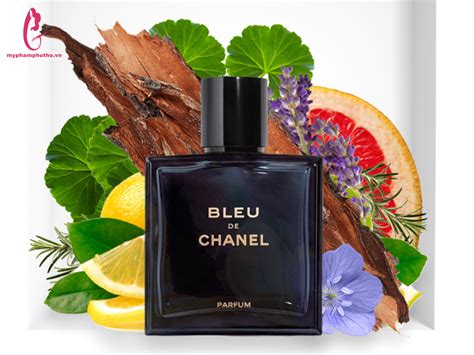 Top với hơn 60 về nước hoa chanel bleu de mới nhất Du học Akina