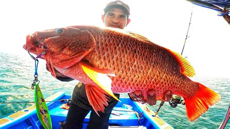JIGGING IKAN TERLEZAT DI KEDALAMAN 180 METER YouTube