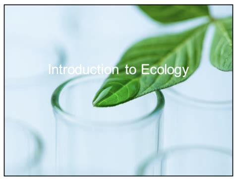 Intro To Ecology Flashcards Quizlet