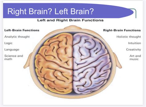 Psych Final Flashcards Flashcards Quizlet